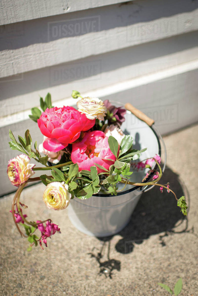 Bucket of flowers - Royalty-free Stock Photo | Dissolve