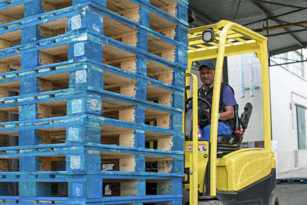 Forklift driver loading stacked pallets at packaging factory - Royalty ...
