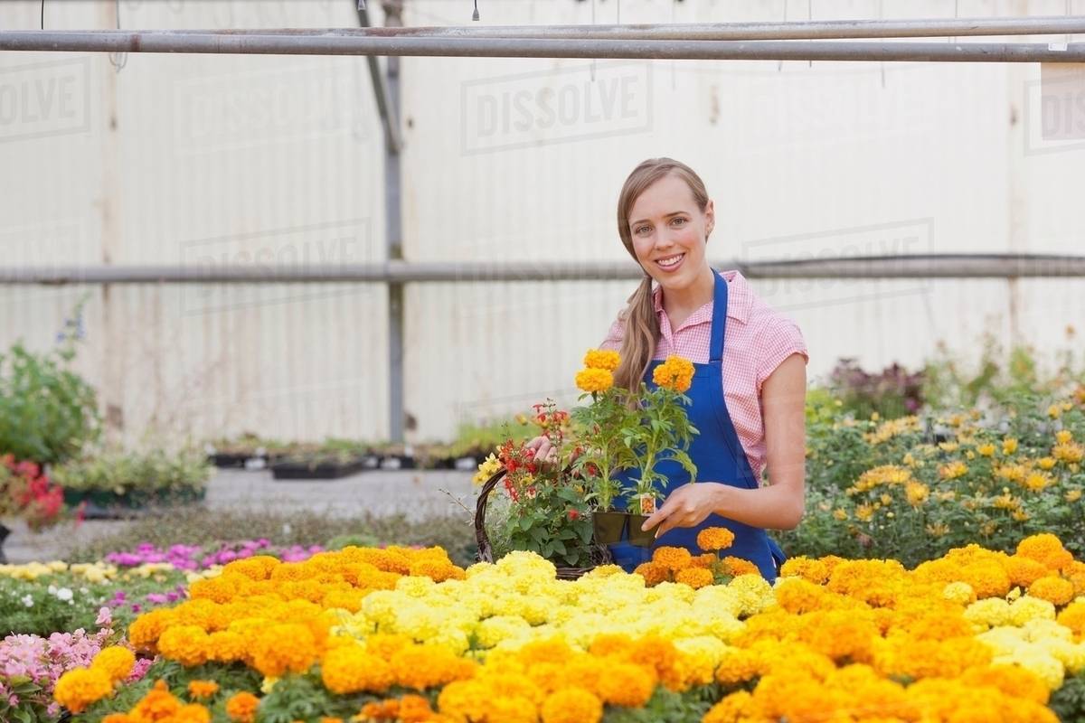 Mid adult woman carrying flowers in garden centre, smiling - Royalty ...