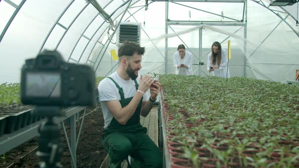 Young farmer recording video in a greenhouse - Stock Video Footage ...