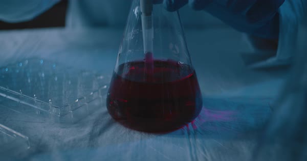 Scientist taking out a red liquid from a conical flask with ...