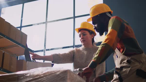Employees team reviewing logistics for products, cargo production in ...