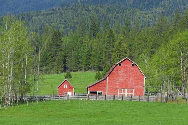 An older bright red barn in good condition stands in a rich green ...