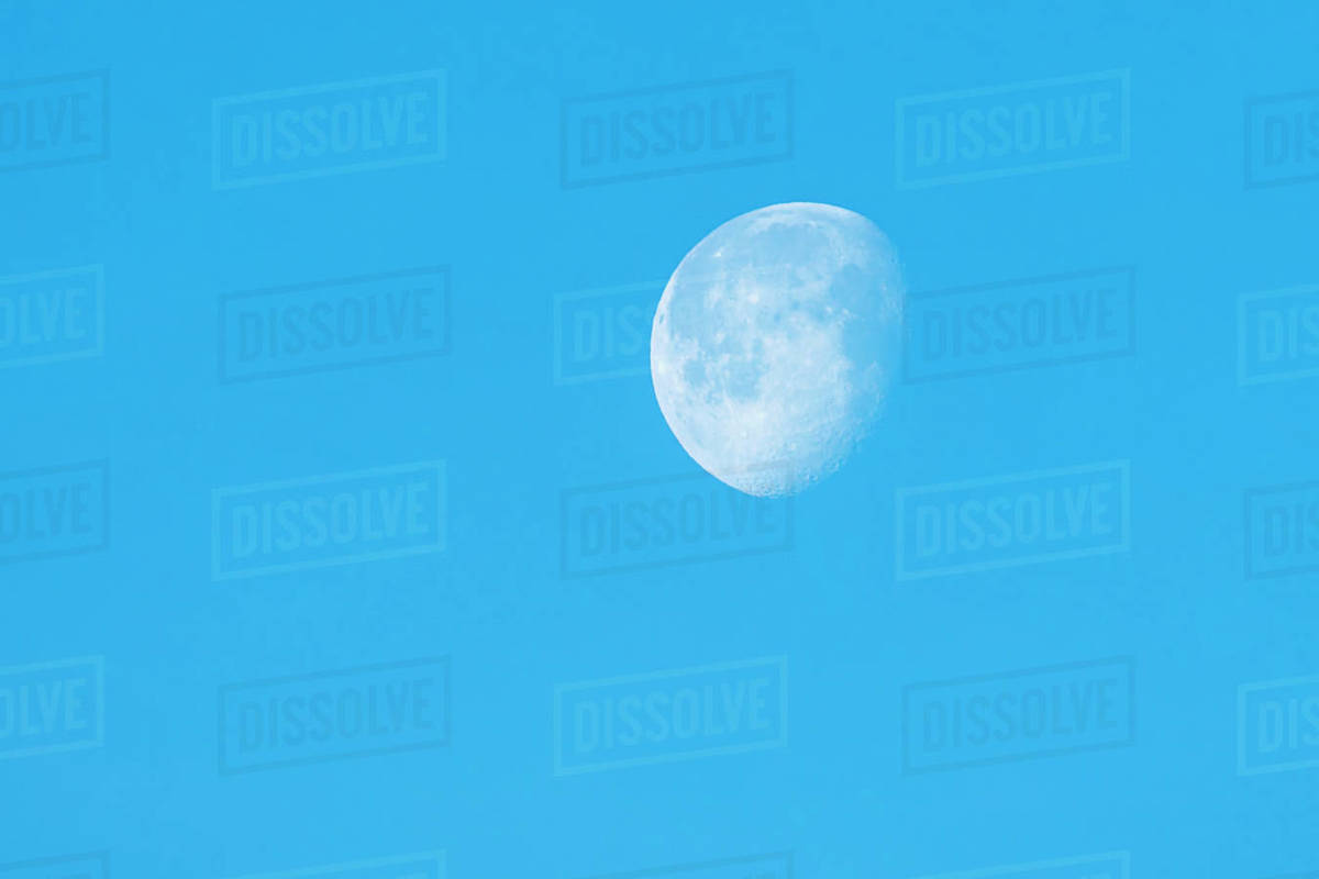 The pretty moon is setting in the morning in the bright blue sky ...