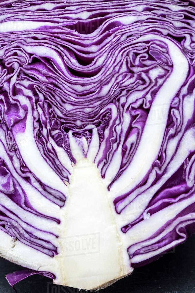 An abstract view of the inside of a sliced red cabbage. - Stock Photo ...