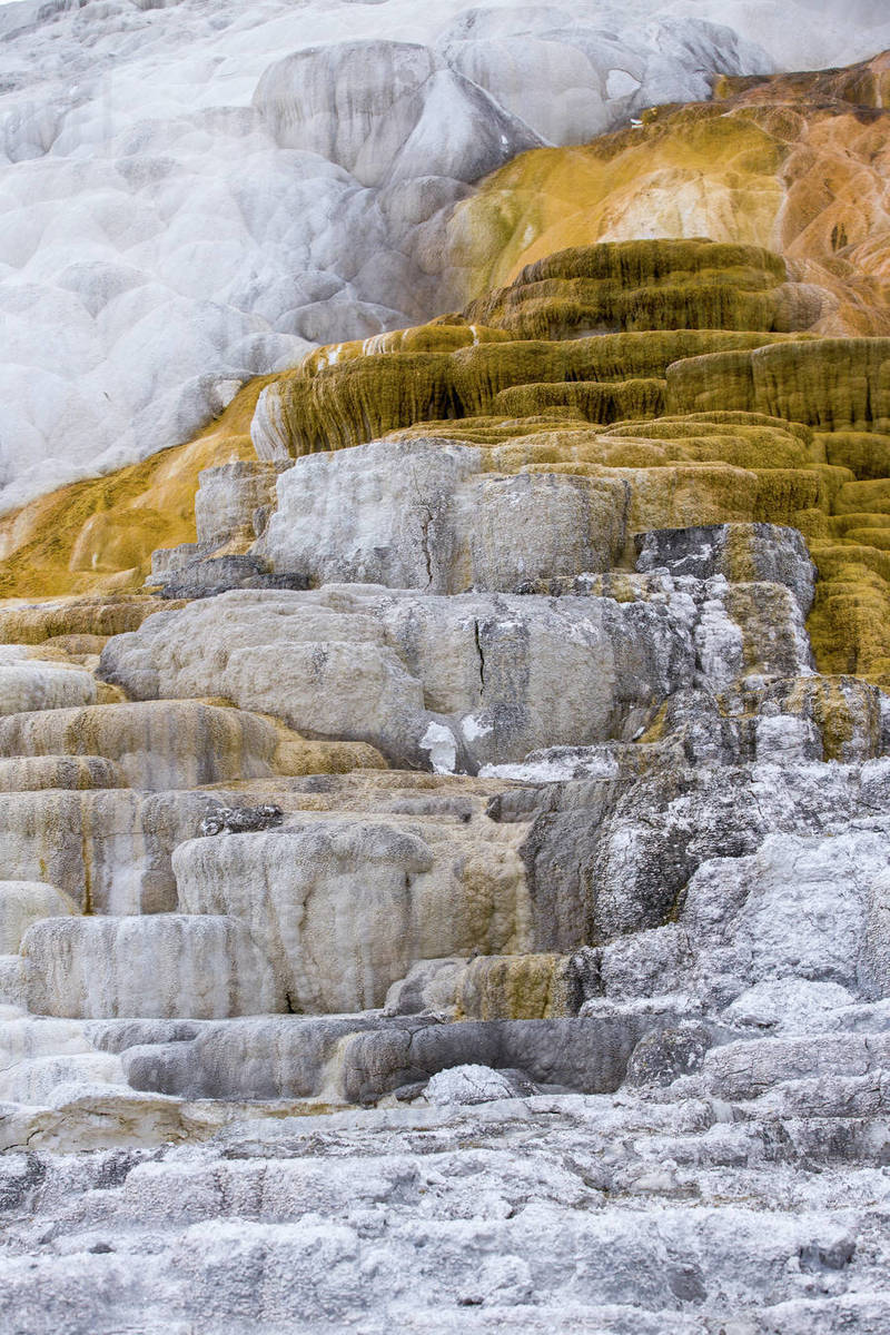 Abstract image of the calcium and mineral deposits at Mammoth ...