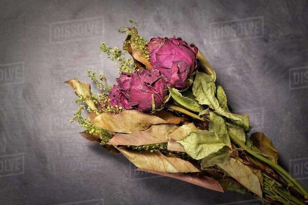 A studio photo of a bouquet of dried red roses on a table. - Royalty ...