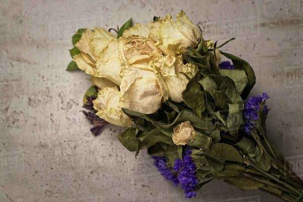 A studio photo of a bouquet of dried yellow roses on a table. - Royalty ...