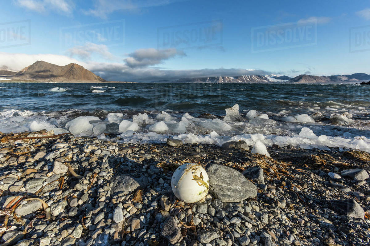 Plastic pollution in Arctic coast. - Stock Photo - Dissolve