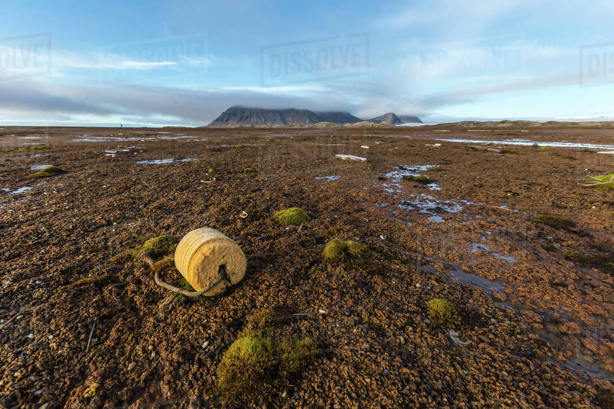 Plastic pollution in Arctic coast. - Royalty-free Stock Photo | Dissolve