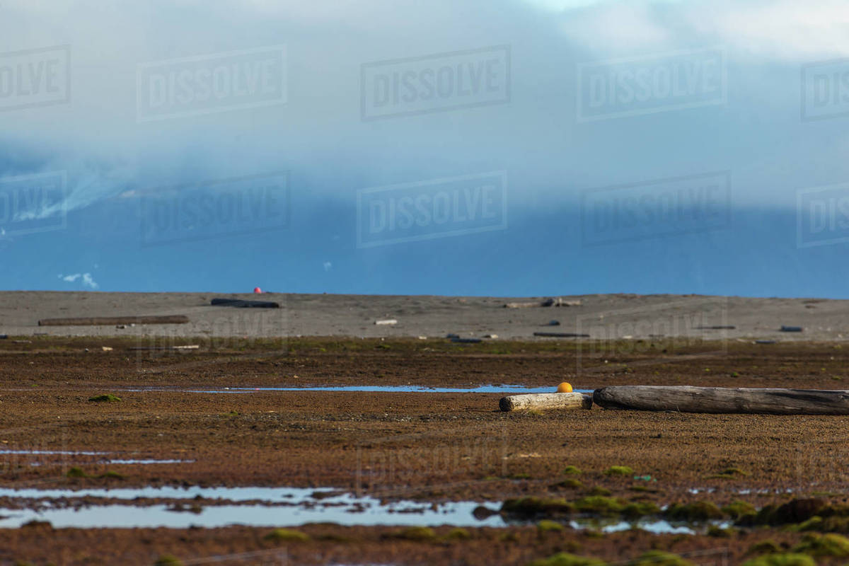 Plastic pollution in Arctic coast. - Royalty-free Stock Photo | Dissolve