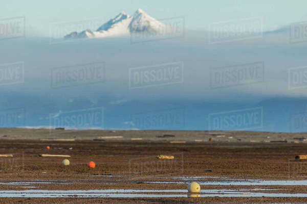 Plastic pollution in Arctic coast. - Stock Photo - Dissolve