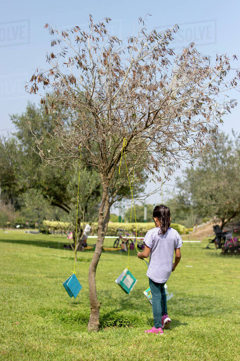 A girl is reading a book that is hanging from a tree - Royalty-free ...