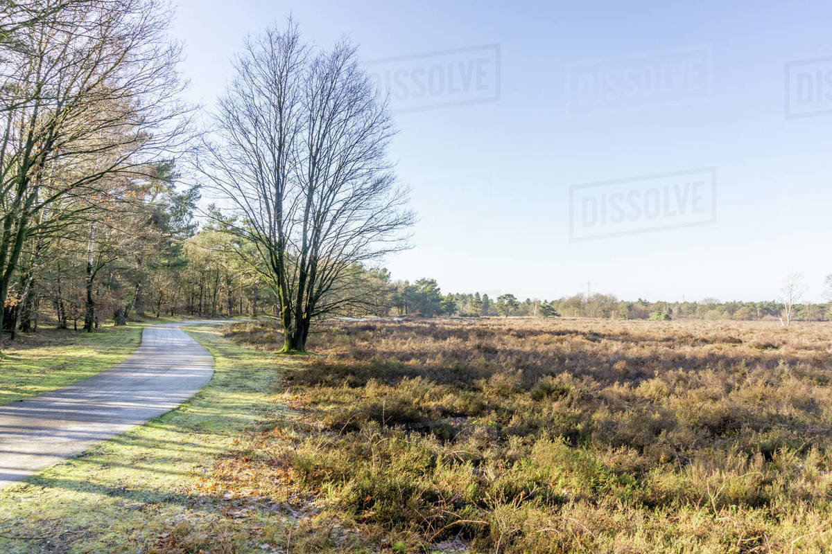 National Park Dwingelderveld in the dutch province of drenthe is an ...
