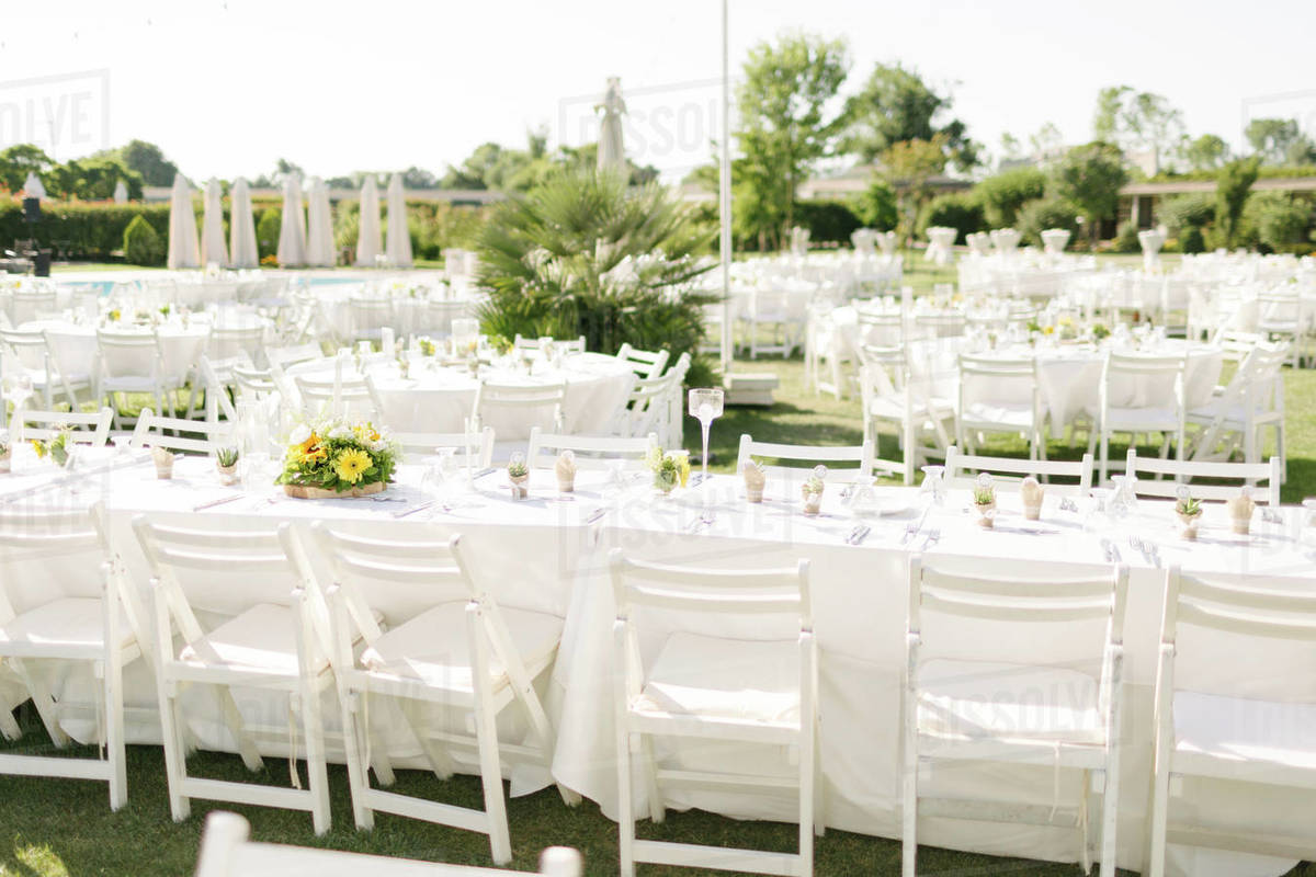 Wedding dining table. Rustic wedding. - Royalty-free Stock Photo | Dissolve