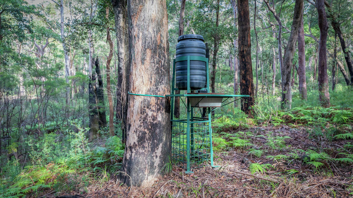 A wildlife watering system in the Australian National Parks program in ...