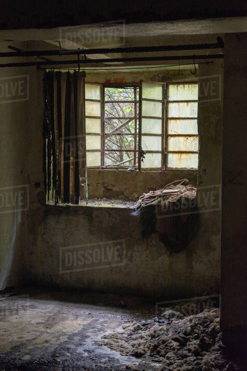 Old abandoned house window with mold and moss on the floor and green ...