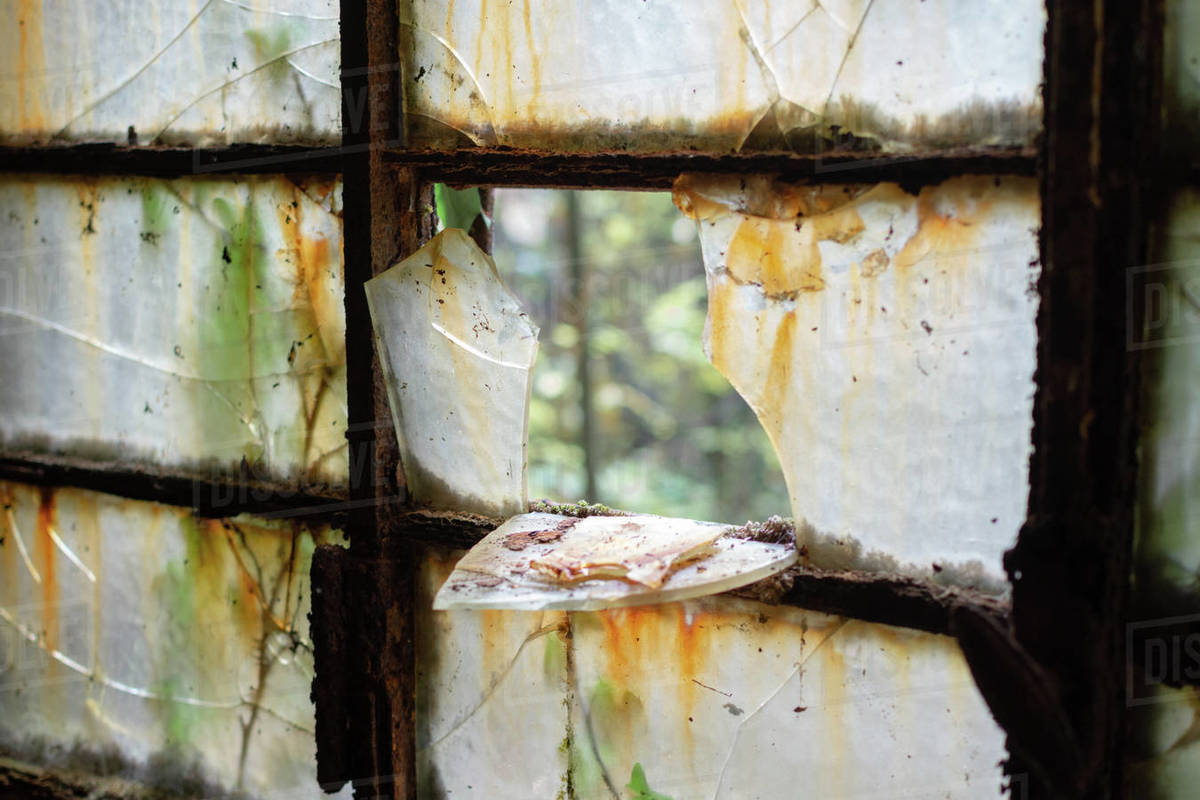 Old abandoned building dirty window in decay with broken glass forest ...