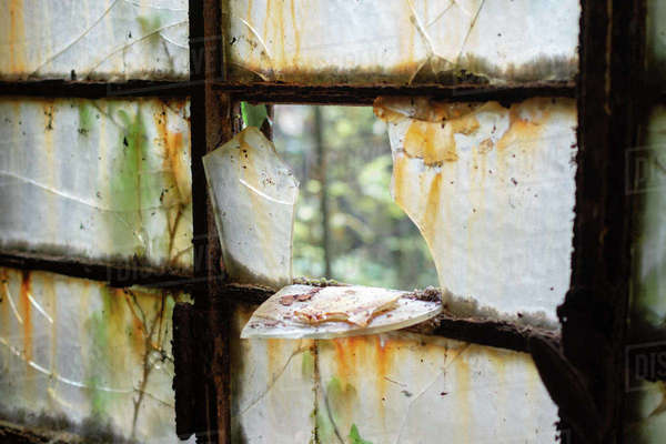 Old abandoned building dirty window in decay with broken glass forest ...