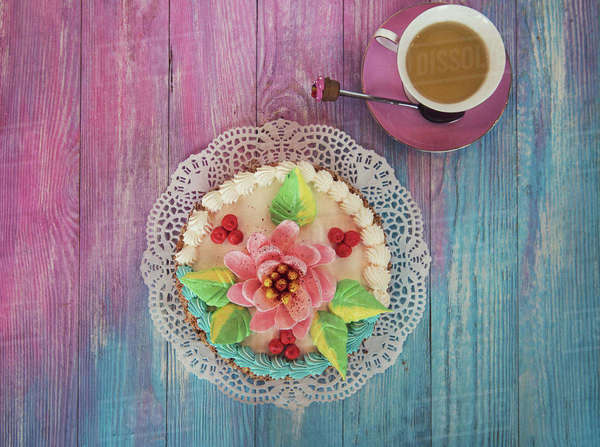 Cake on gradient color background - Royalty-free Stock Photo | Dissolve
