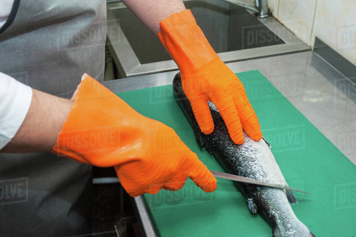 Chef cutting salmon fish with knife - Royalty-free Stock Photo | Dissolve