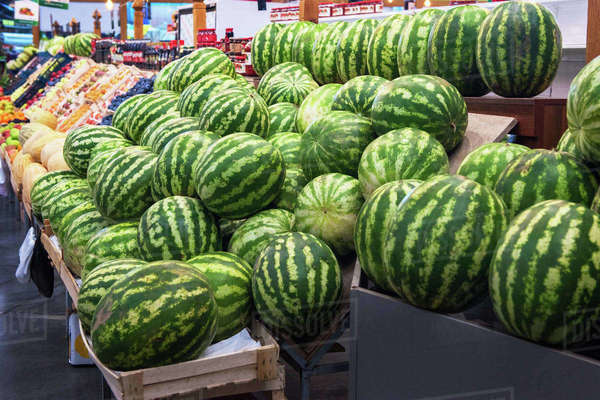 Ripe watermelons in farmer market: fresh organic healthy watermelons at ...
