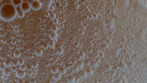 Close-up of bubbles forming on an eggshell as it is placed in ...