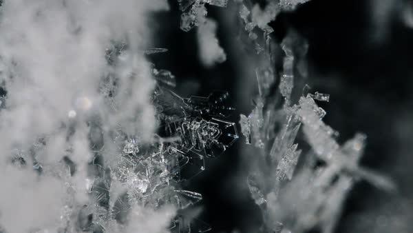 Ice crystal growth. Time-lapse microscope of dendritic ice crystals ...