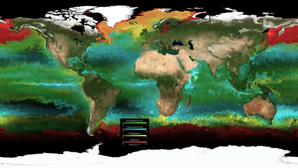 Global phytoplankton levels, 1994-1998. Animation of a global map ...