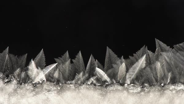 Ice crystal growth. Time-lapse microscope of dendritic ice crystals ...
