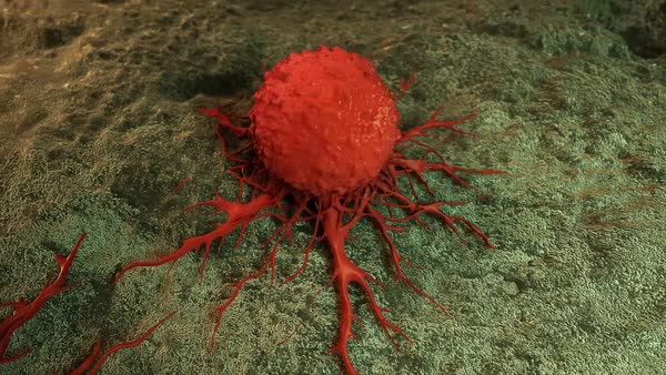 Cancer cell, animation. - Stock Video Footage - Dissolve