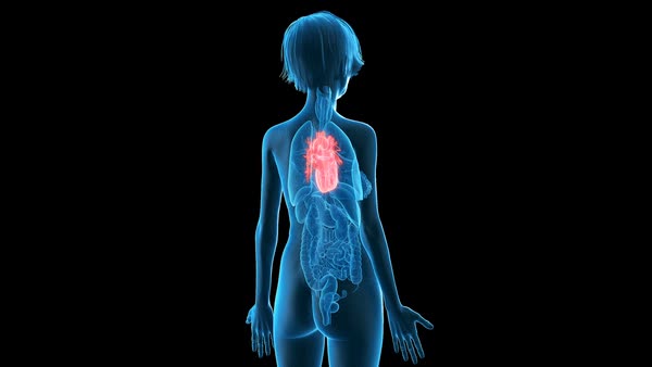 Female body rotating against a black background, zooming in to show the ...