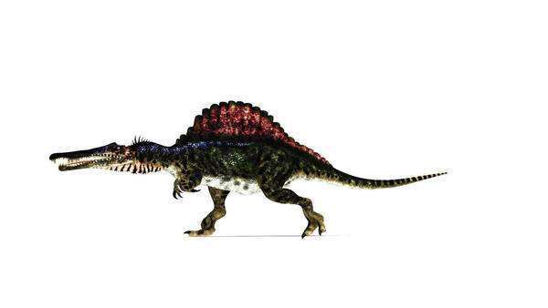 Spinosaurus dinosaur animation. - Stock Video Footage - Dissolve