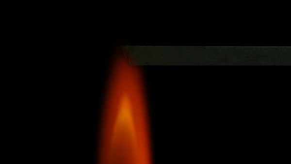 Combustion of a strip of magnesium metal held over the flame of a ...