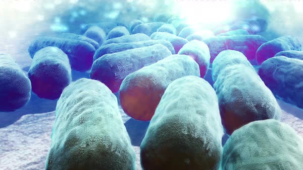 Animation of synthetic bacteria releasing products. The bacteria are ...