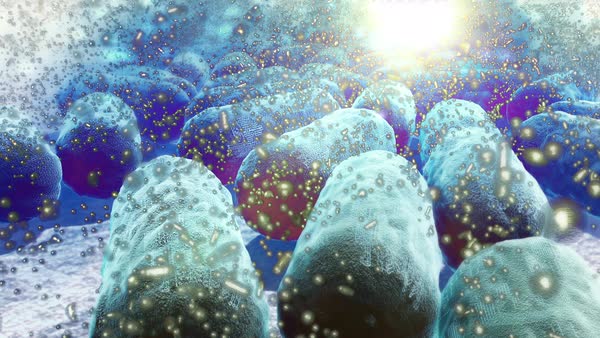 Animation of synthetic bacteria releasing products. The bacteria are ...