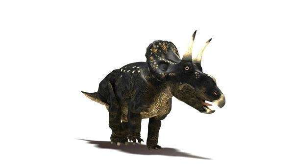 Animation of Nedoceratops (formerly Diceratus) dinosaur running. - HD ...