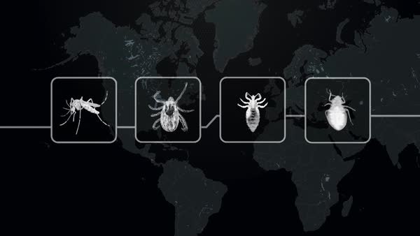 World map showing parasites - Stock Video Footage - Dissolve