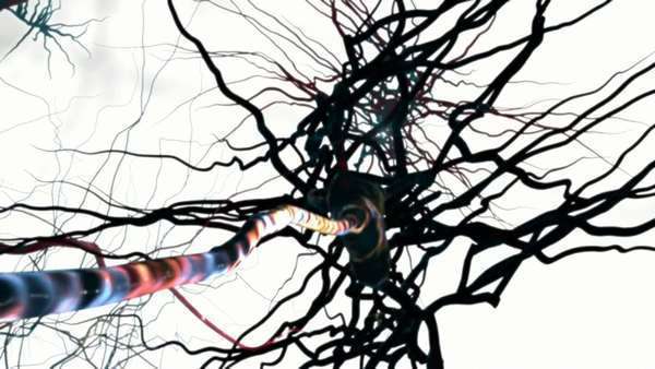 Pyramidal nerve cells. - Stock Video Footage - Dissolve