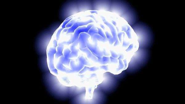 Brain activity. - Stock Video Footage - Dissolve