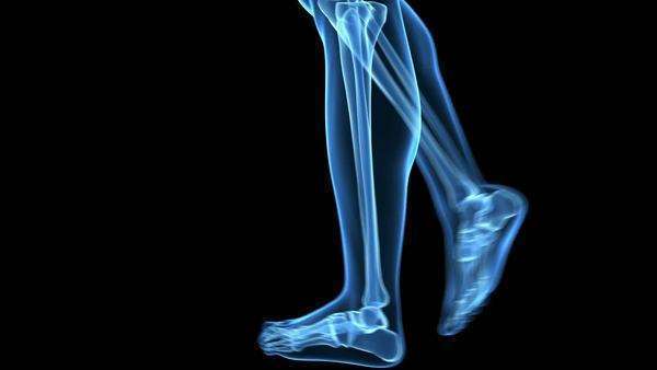 Animated model of the human skeletal system walking. - Stock Video ...