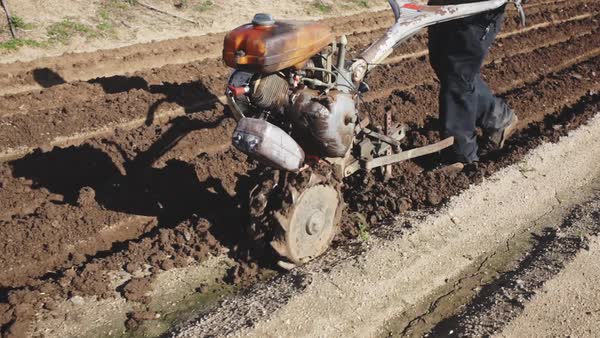 Closeup of hand plough tilling soil on field before seeding. Spring ...