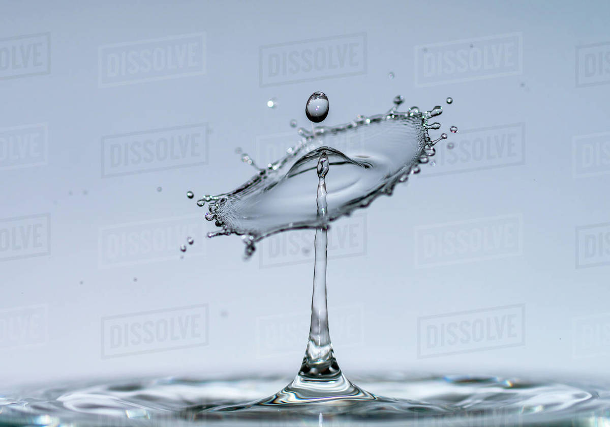 Water drops form mesmerizing transparent sculptures in the form of a ...