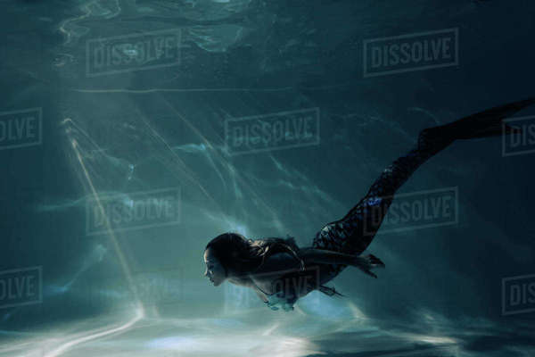 Beautiful young woman with mermaid tail swims and dives under sunlit ...