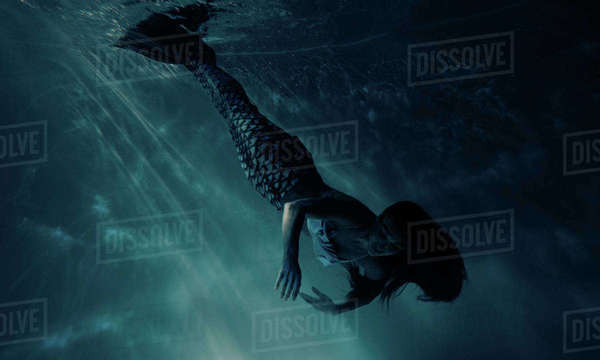 Beautiful young woman with mermaid tail swims and dives under sunlit ...