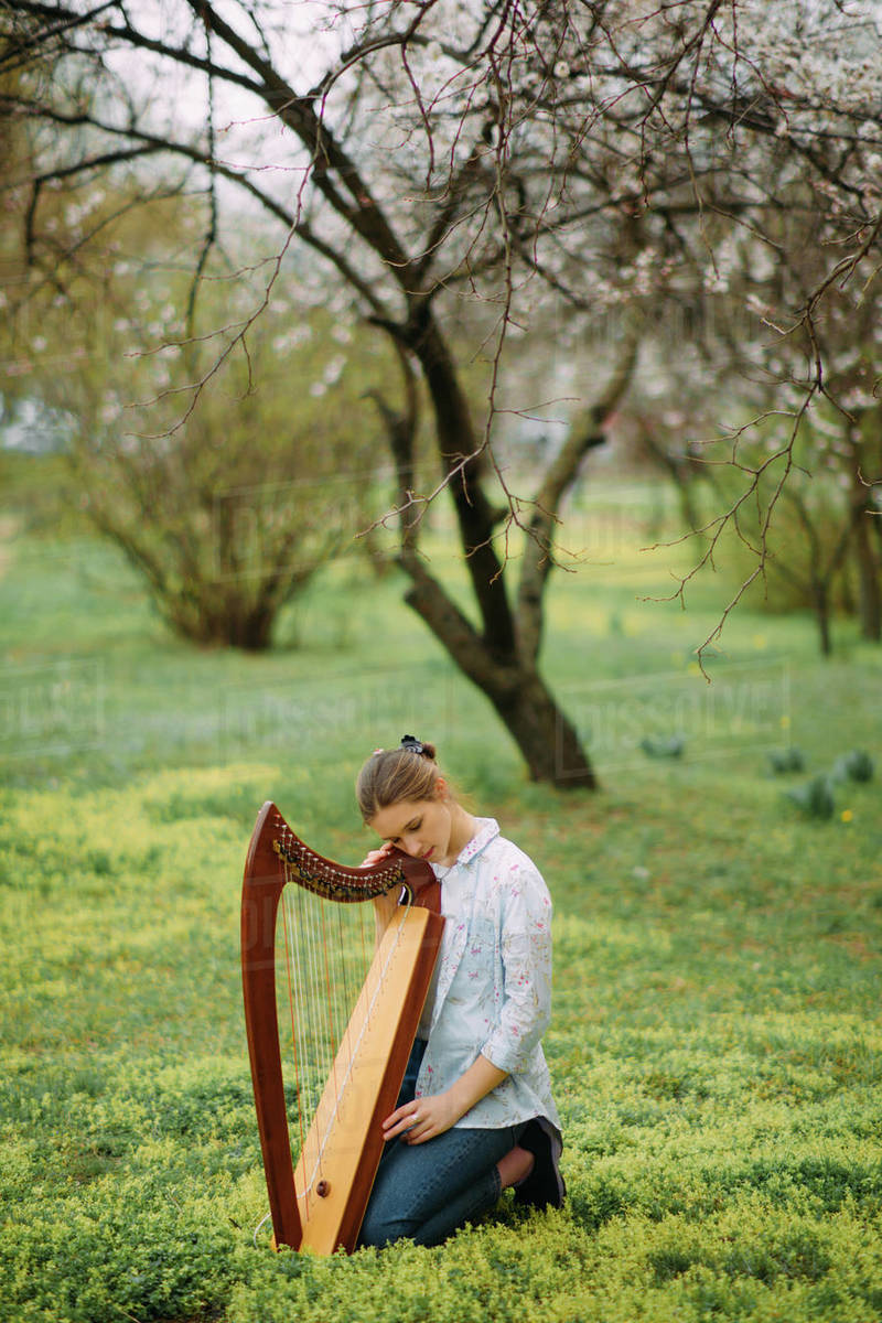 Woman harpist sits on green grass, plays harp and has relax among ...