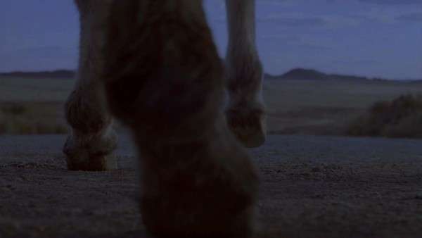 donkey feet and under view of donkey cart with two people moving down ...
