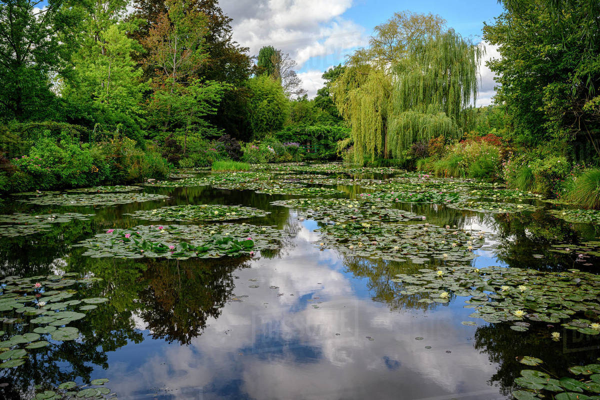 The water lily pond in the garden at the home of Claude Monet - Royalty ...