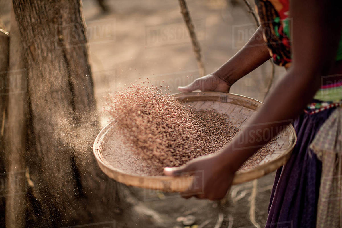 Close-up of a woman sifting grain, Zimbabwe - Stock Photo - Dissolve
