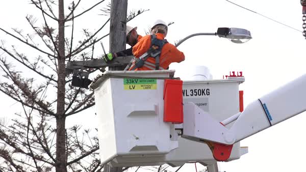 Australian male and female electricity worker fixing power line ...